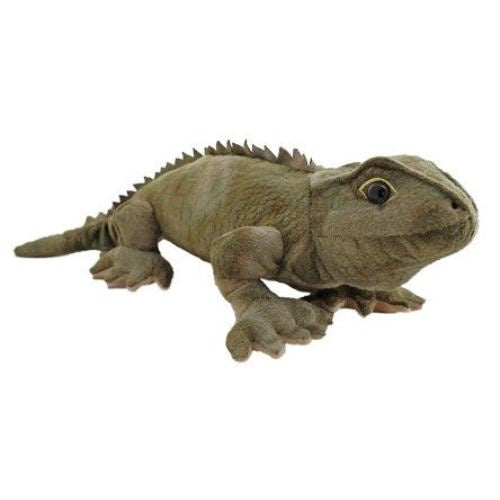 Tuatara Plush Soft Toy - 35cm — Creative Treasures NZ