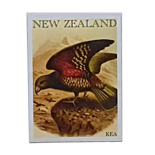 Art Magnet - Kea — Creative Treasures NZ